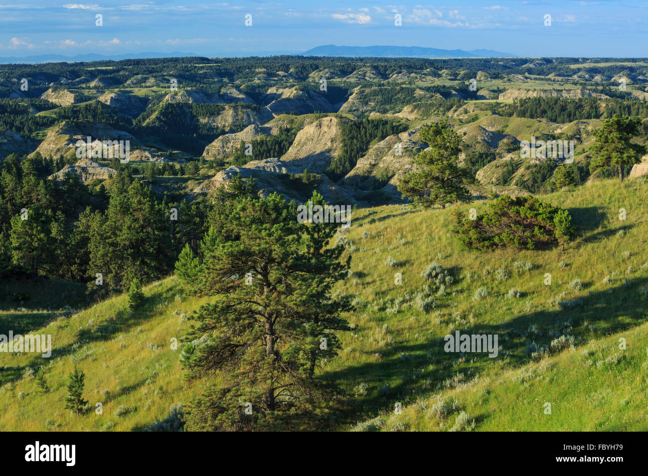dog creek breaks in fergus county near winifred, montana Stock Photo ...