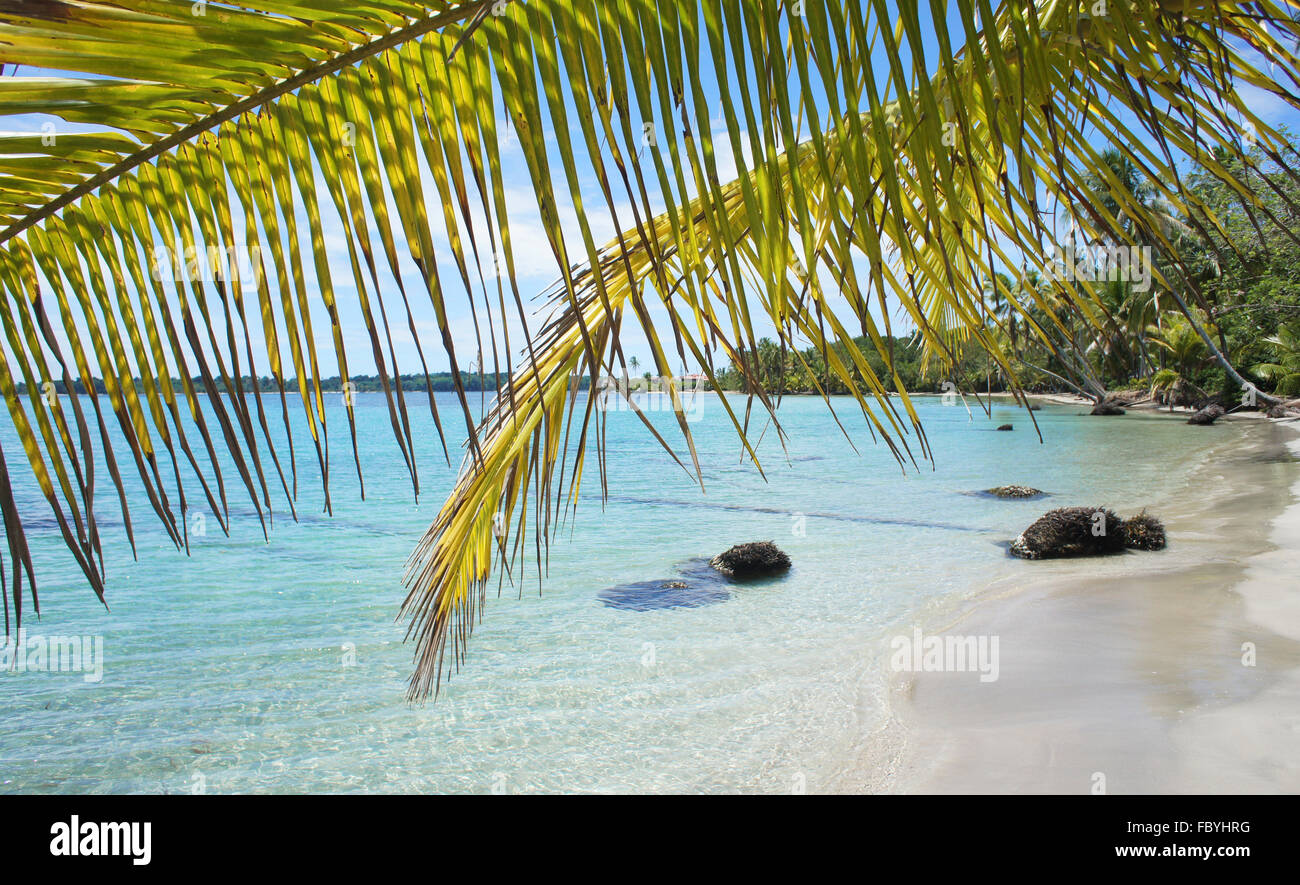 Perfect beach hi-res stock photography and images - Alamy
