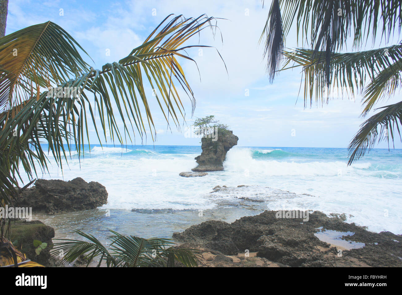 Impressions from Costa Rica Stock Photo - Alamy