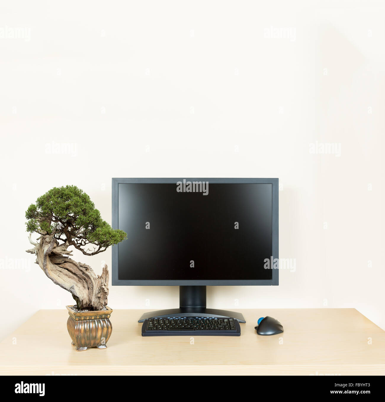 Bonsai Tree Desk at Olivia Breillat blog