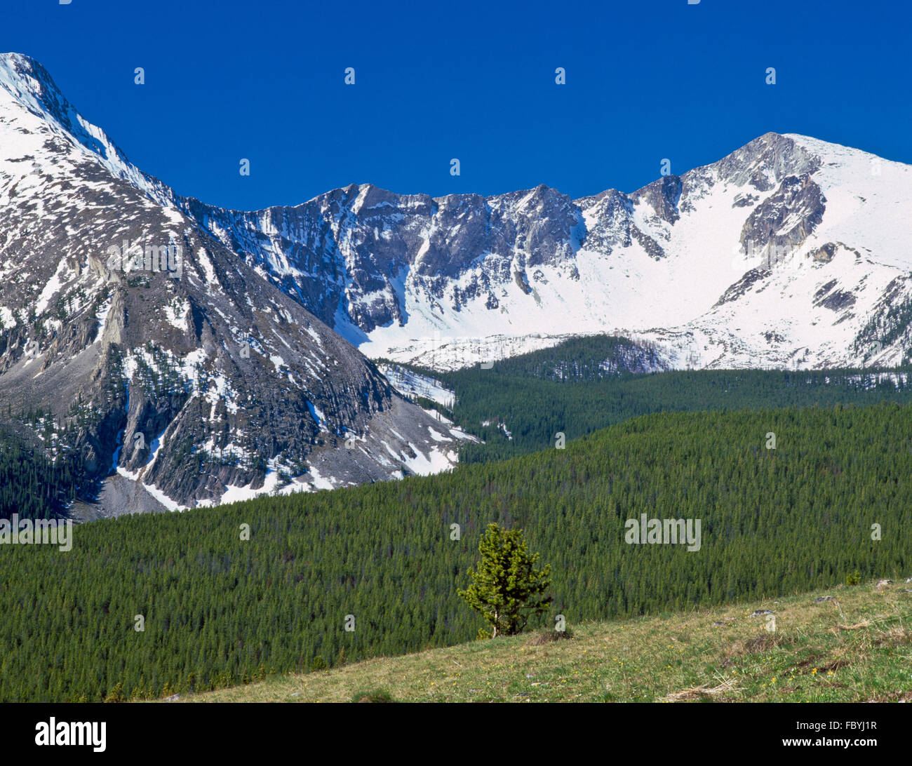 mount powell headwall (the crater) in the flint creek range near deer ...