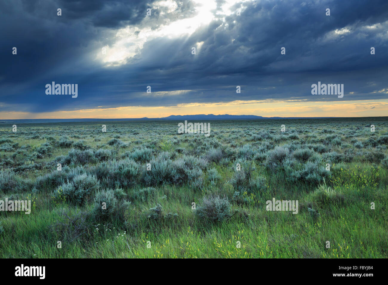sunburst over the sagebrush prairie east of the little rocky mountains ...