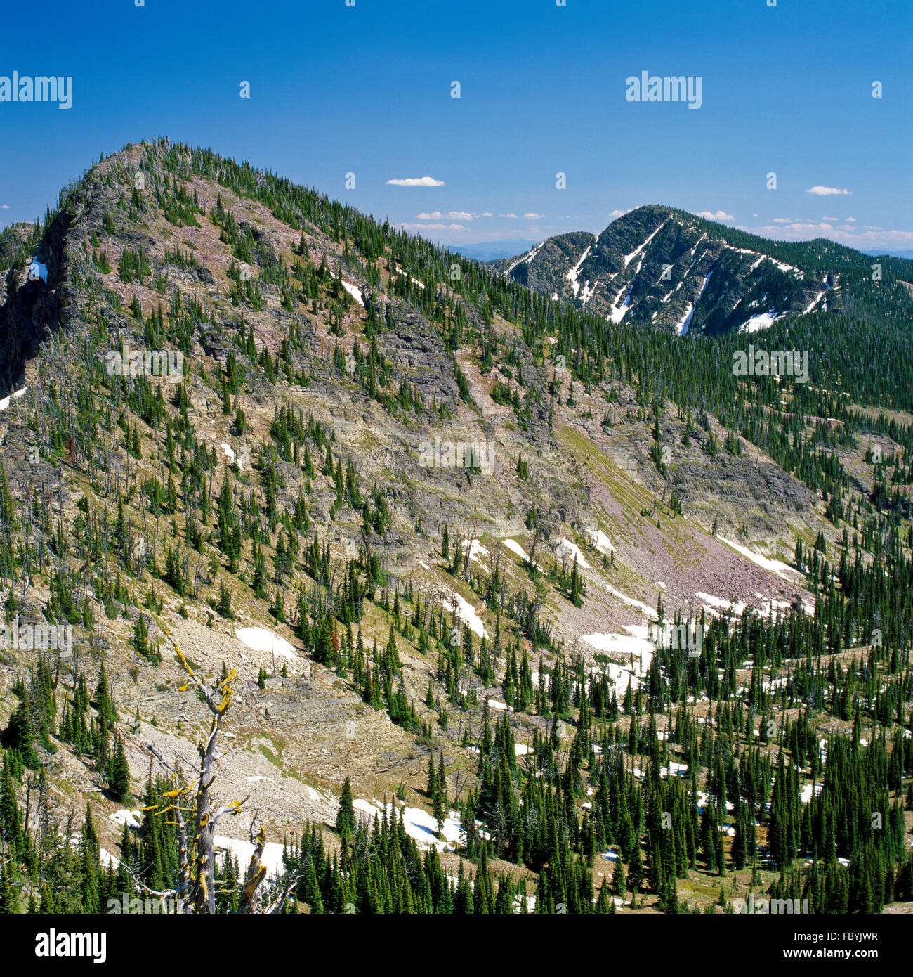 rattlesnake wilderness area in lolo national forest near missoula ...