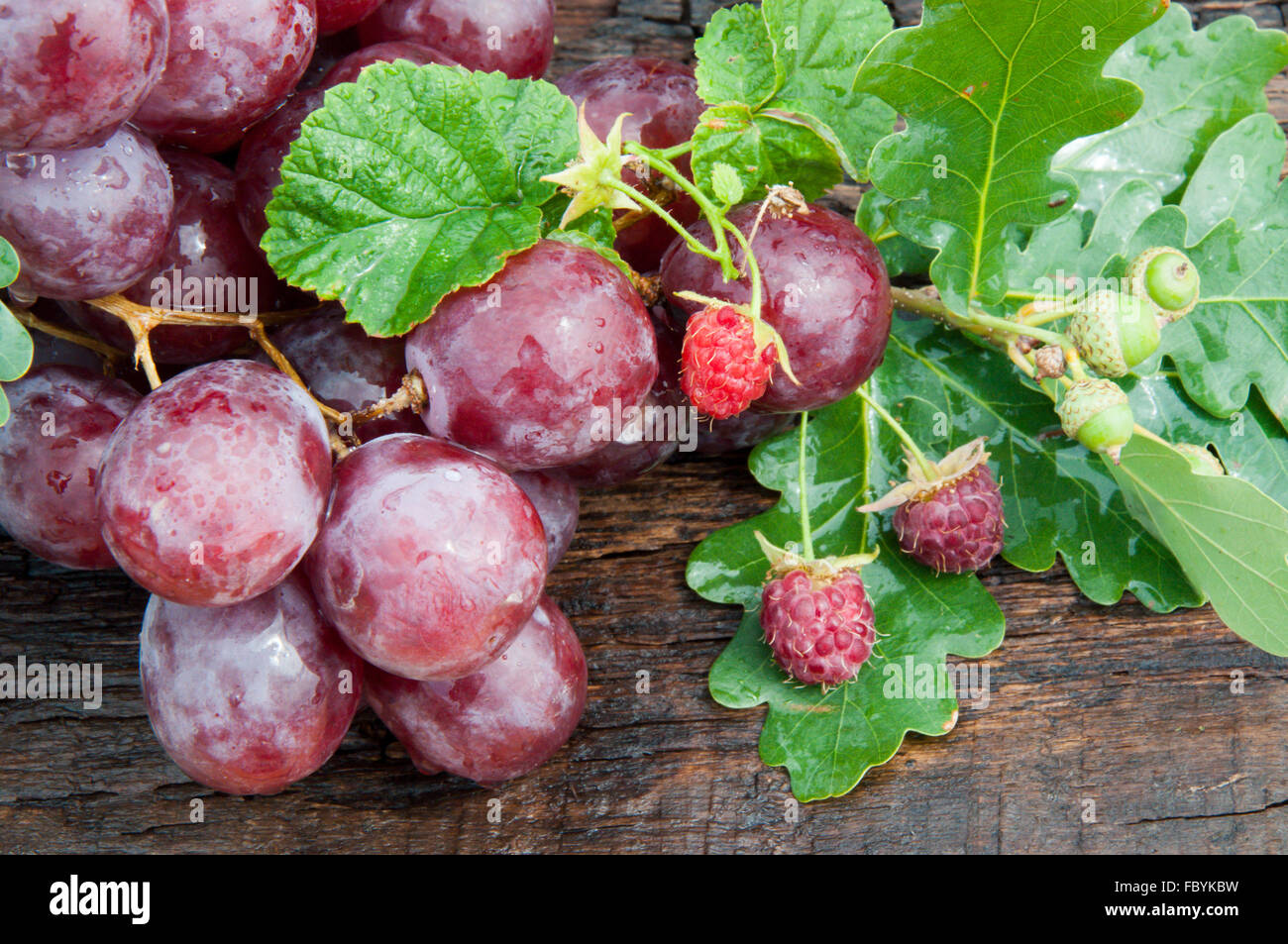 Bunch of grapes and oak leaf Stock Photo - Alamy