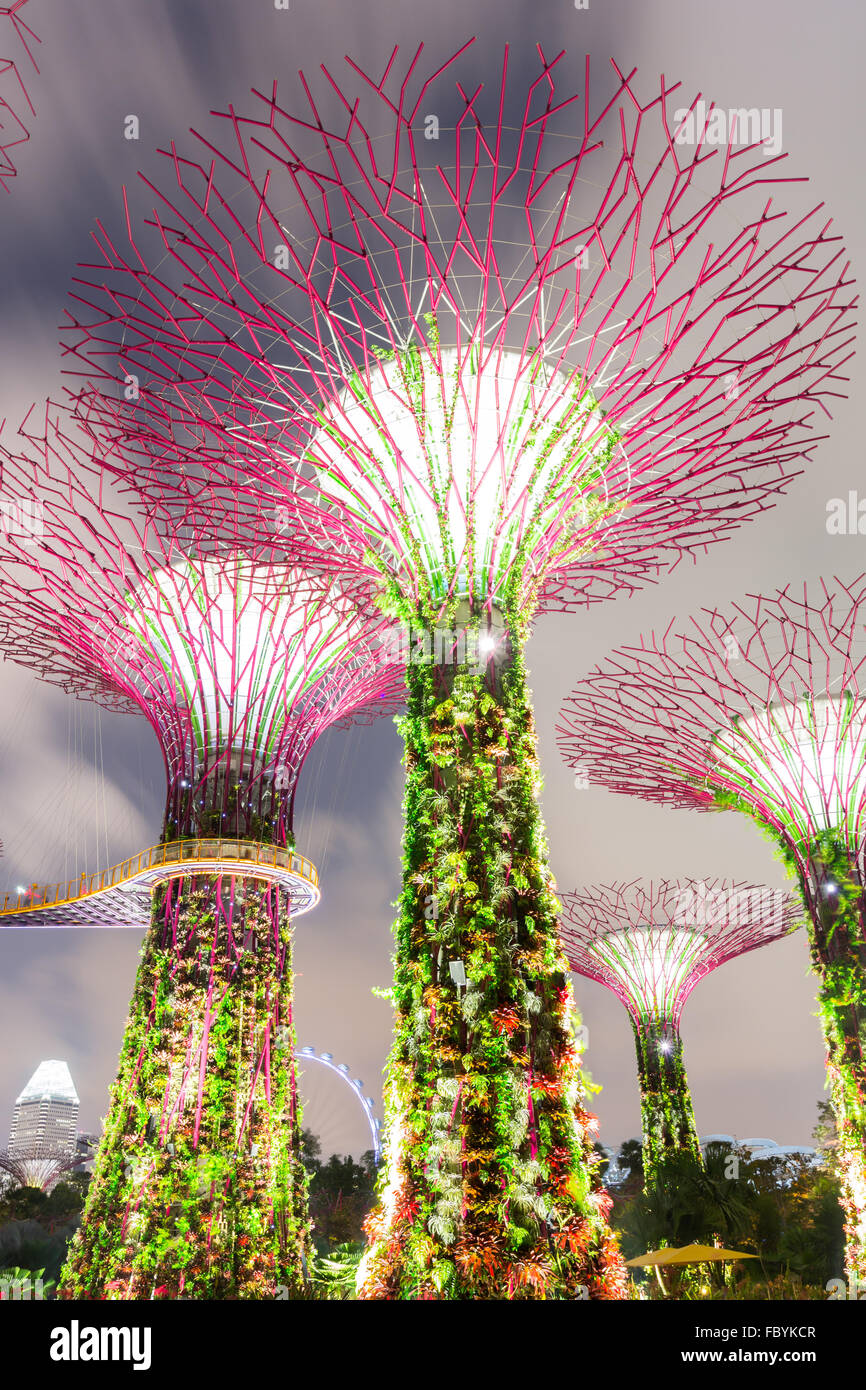 Super Tree Grove in Singapore Stock Photo - Alamy