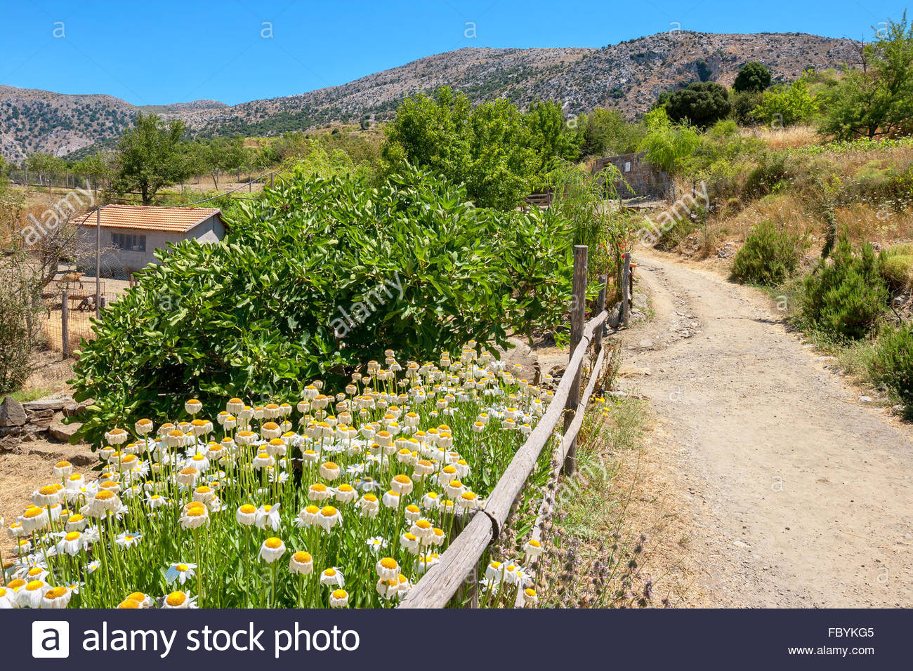 Countryside Crete Island Greece Stock Photos & Countryside Crete Island ...