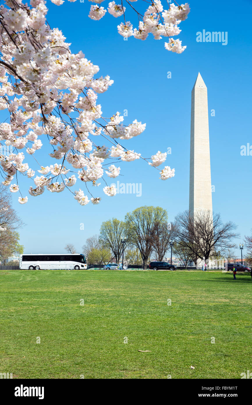 Washington monument with tree and clouds hi-res stock photography and ...