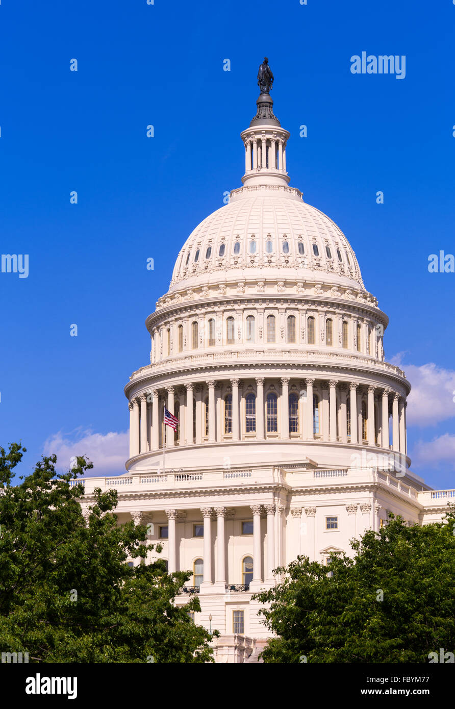 Dome of the Capitol building in Washington DC Stock Photo - Alamy