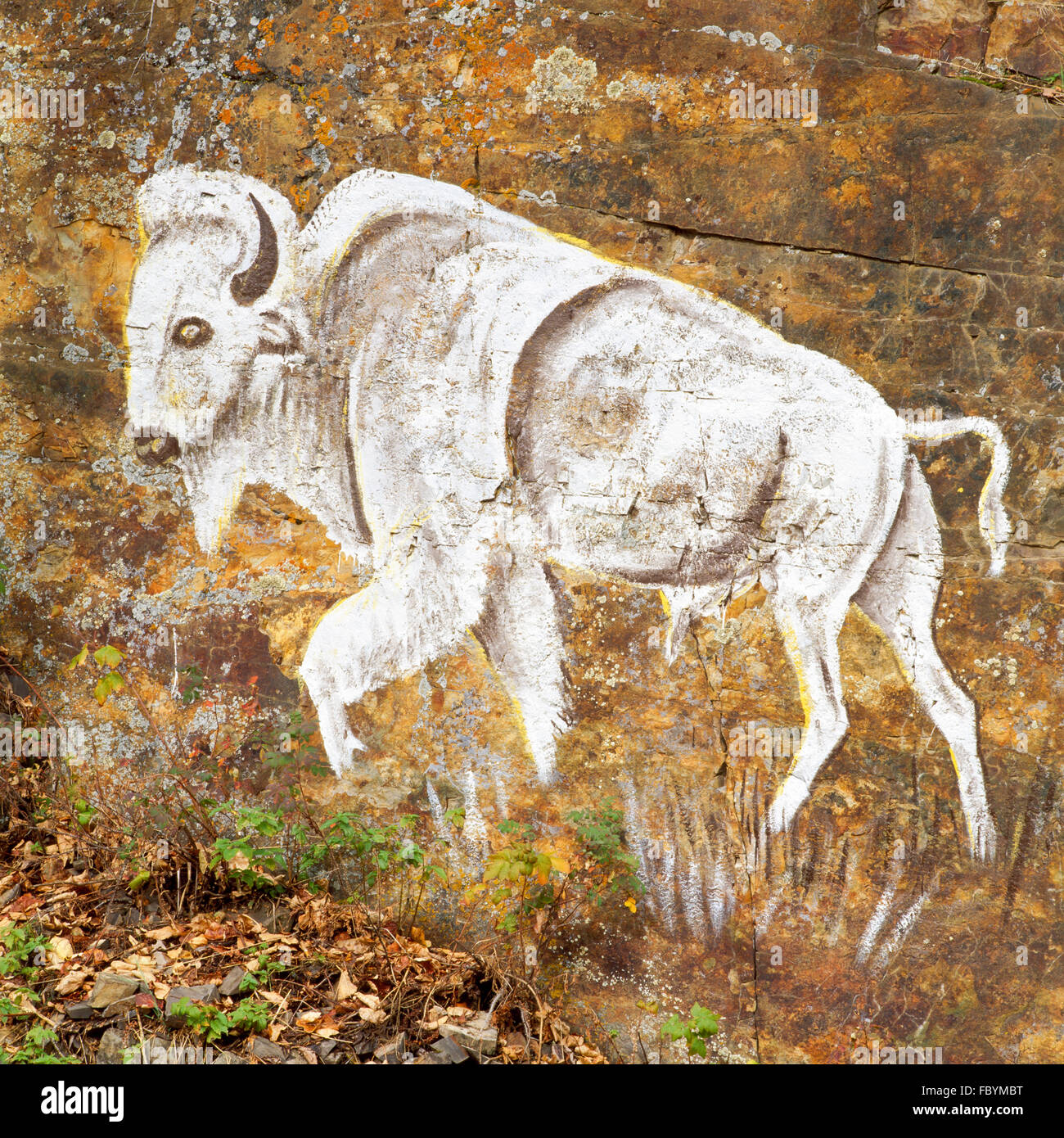 white buffalo painting on a cliff in the beaver creek valley near rocky ...