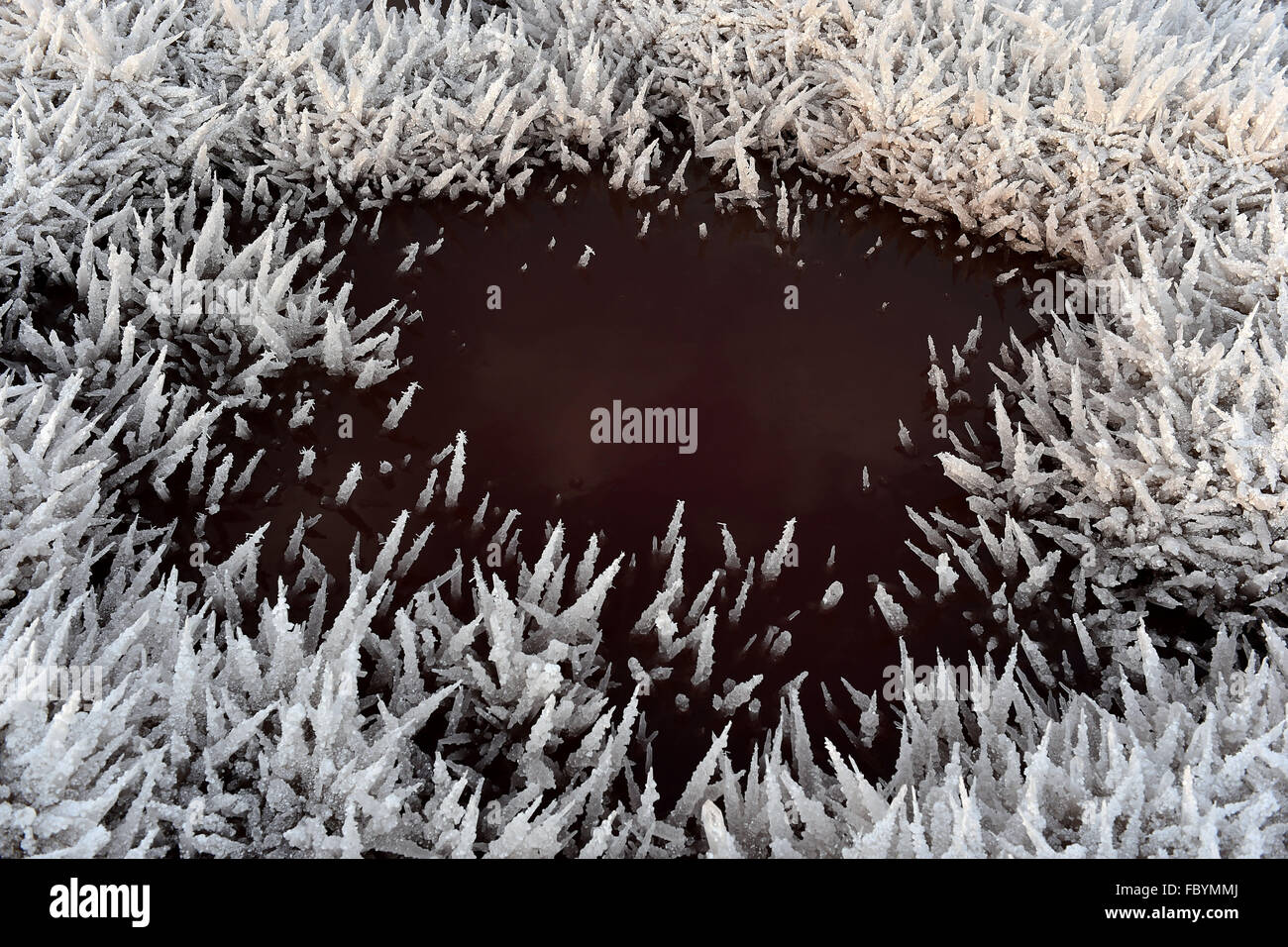 Yuncheng, China. 19th Jan, 2016. Photo taken on Jan. 19, 2016 shows the ...