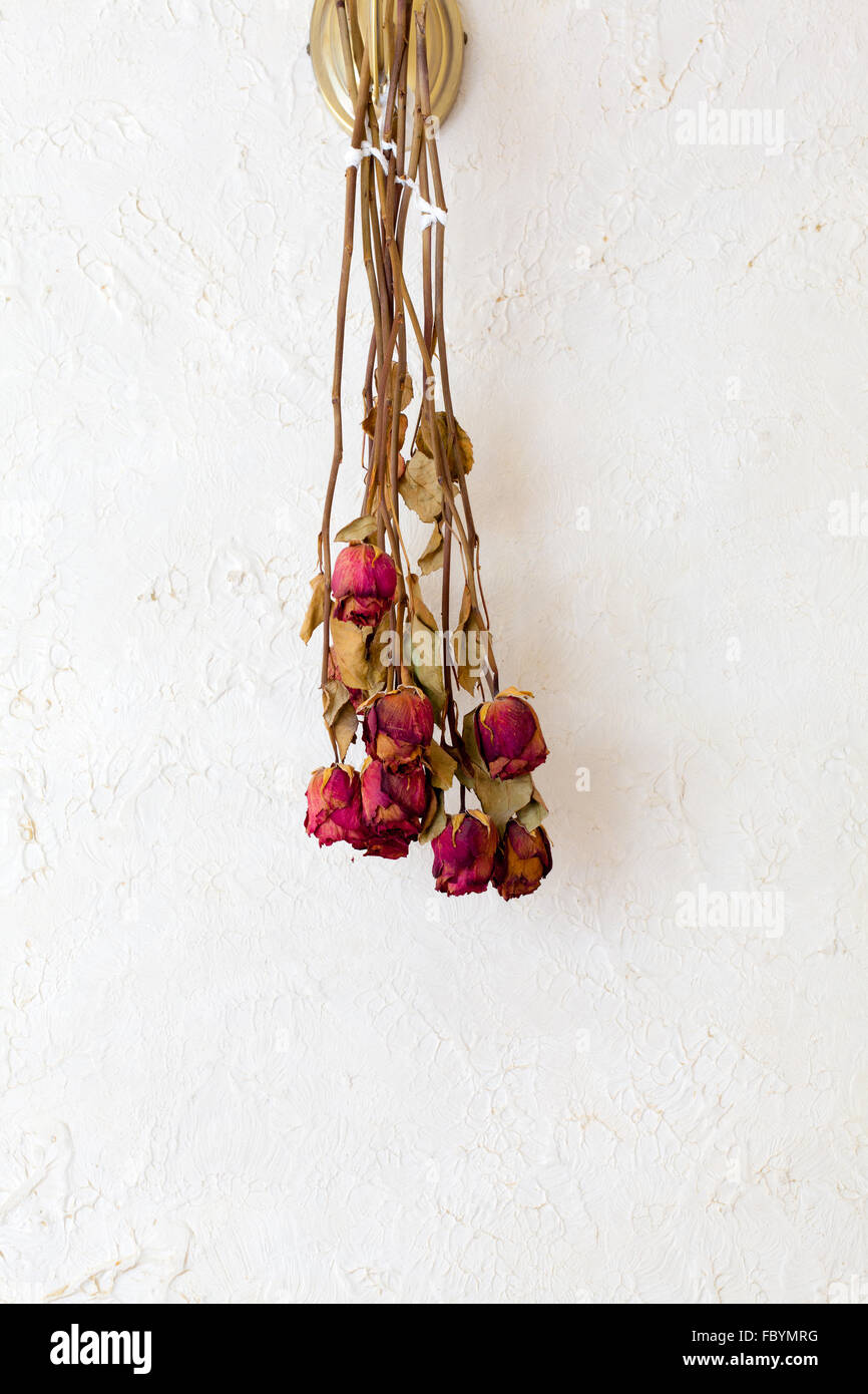 Hang dried flowers hi-res stock photography and images - Alamy