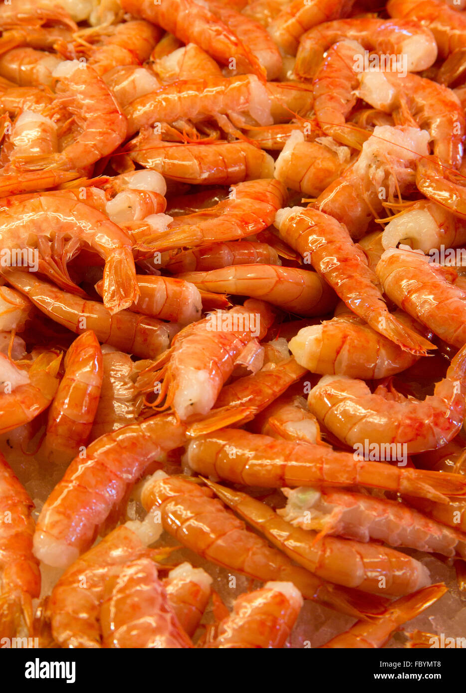 Fresh Crabs High Resolution Stock Photography and Images - Alamy