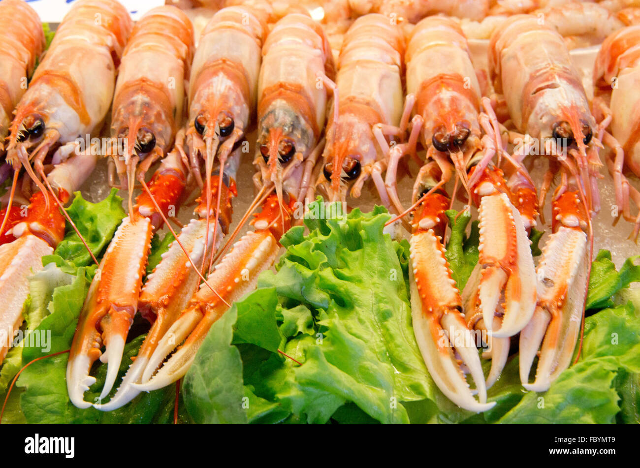 Sea food shells hi-res stock photography and images - Alamy