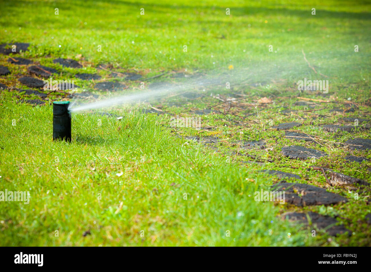 Gardening. Lawn sprinkler spraying water over grass Stock Photo - Alamy