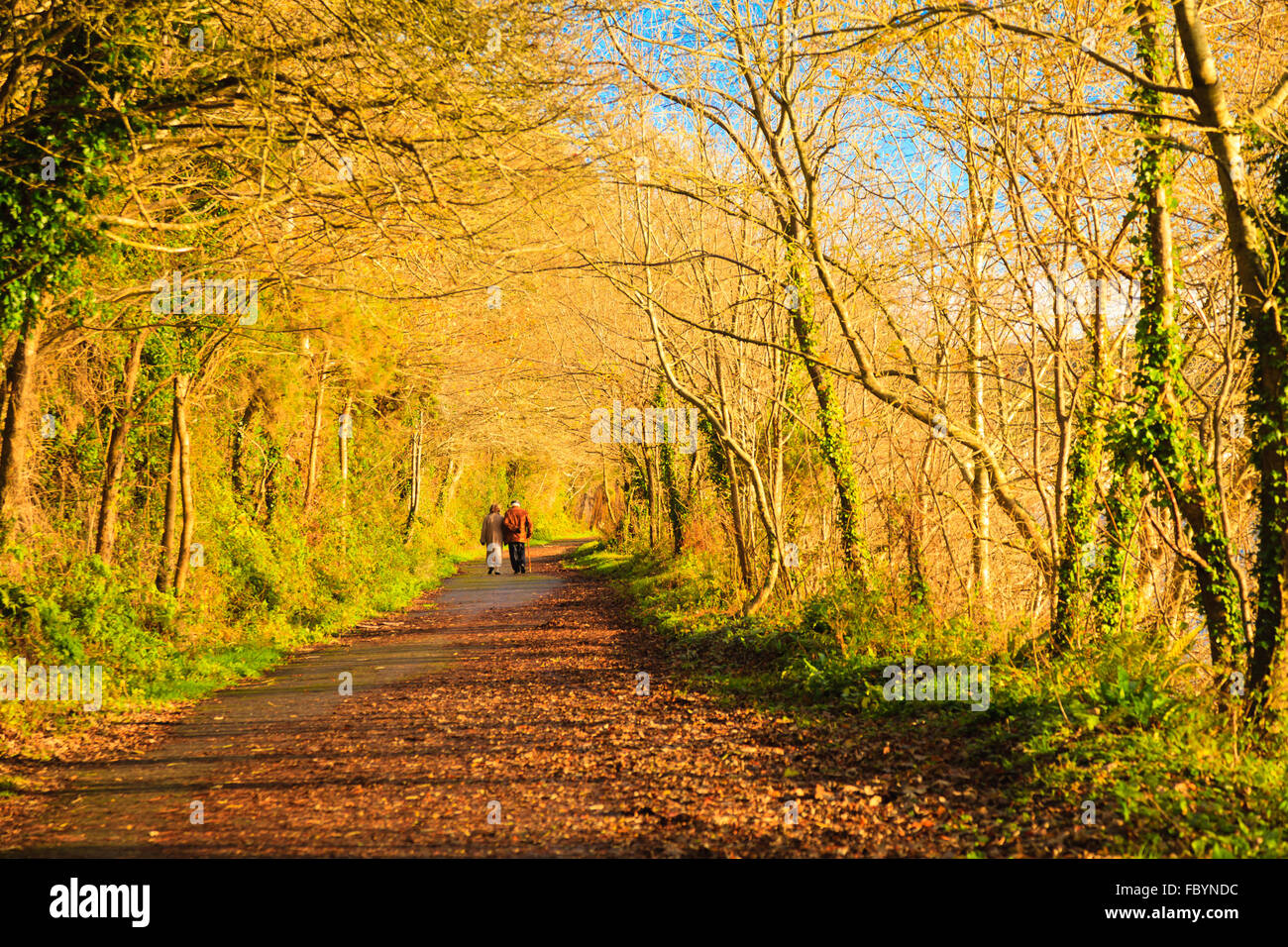 People walking cork hi-res stock photography and images - Alamy