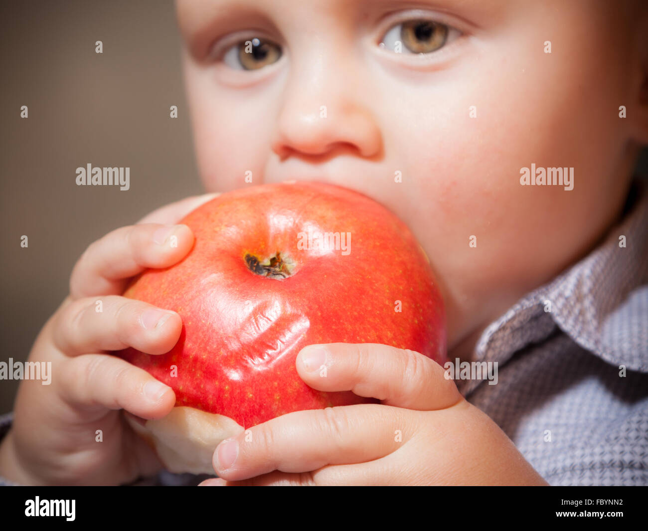 Boy biting into an apple hi-res stock photography and images - Alamy