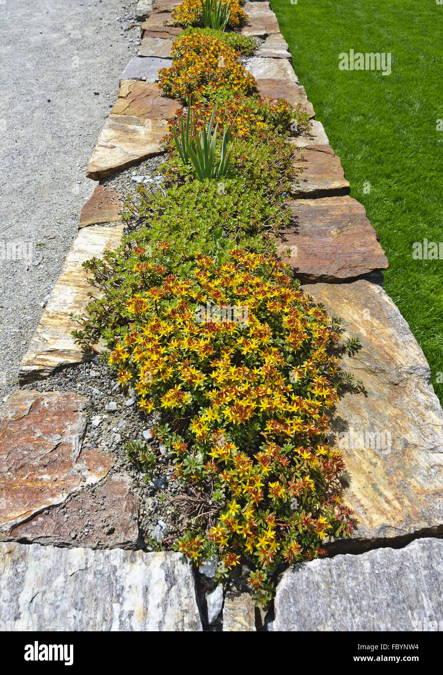 Stone wall plants hi-res stock photography and images - Alamy