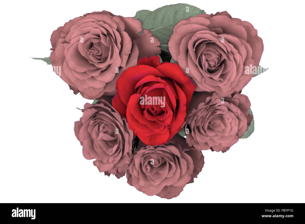 Heart of roses hi-res stock photography and images - Alamy