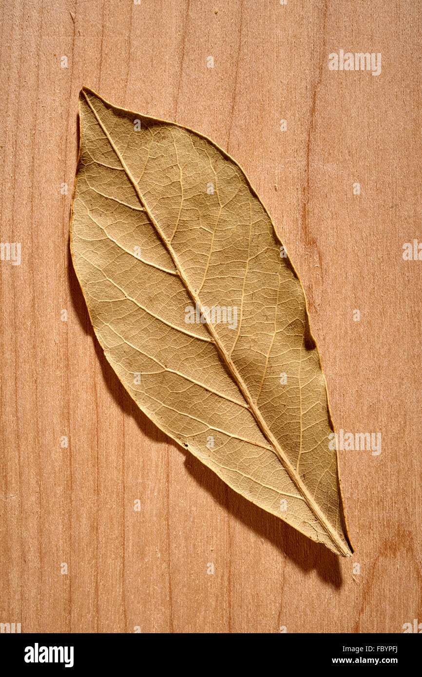 Bay leaf hi-res stock photography and images - Alamy