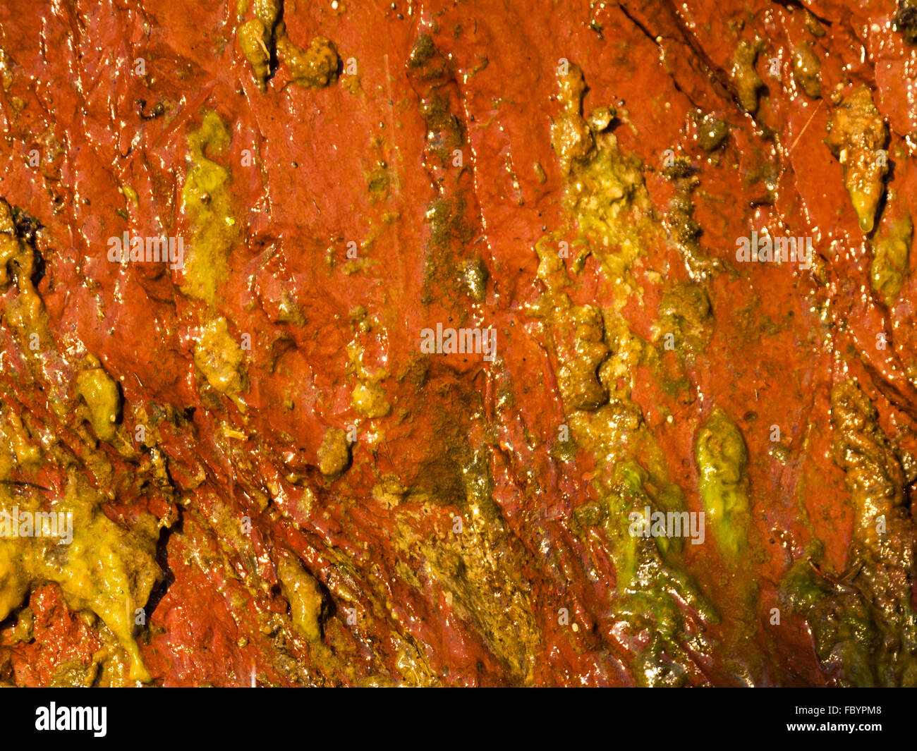 Weathered wet texture hi-res stock photography and images - Alamy