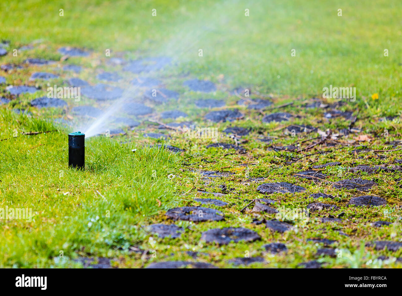 Sprinkler grass hi-res stock photography and images - Alamy