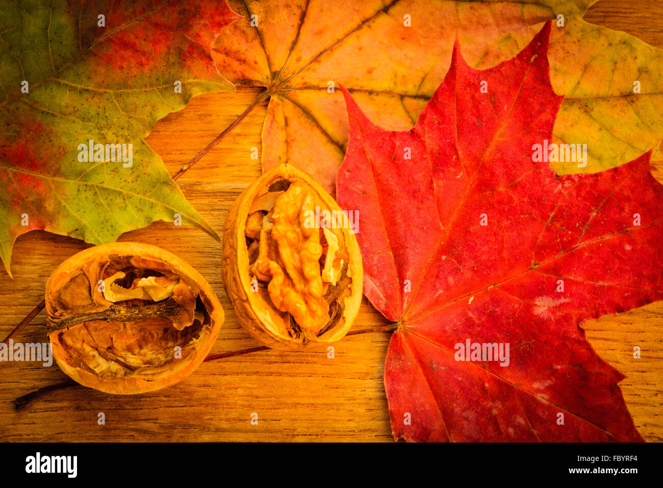 Nut plant hi-res stock photography and images - Alamy