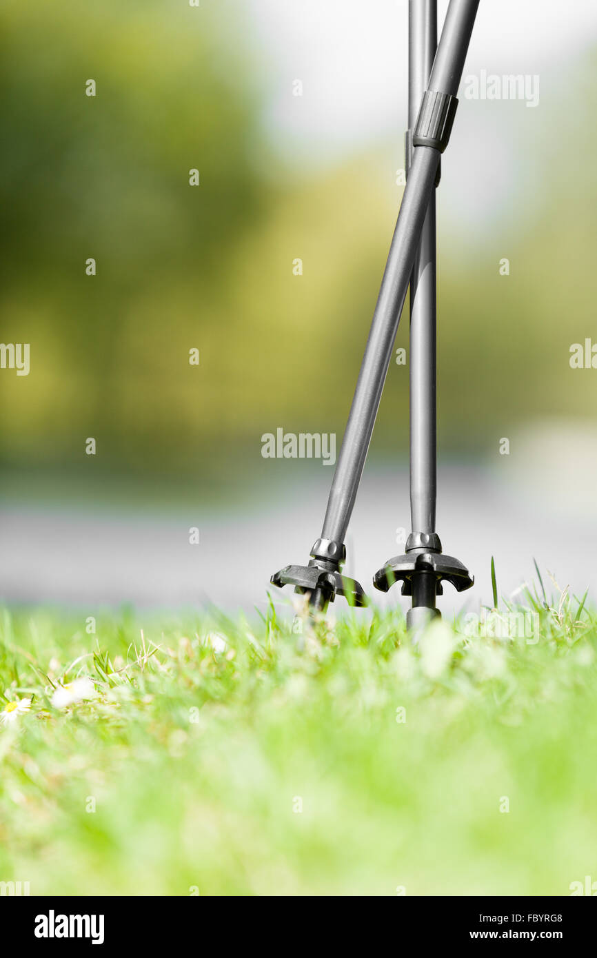 Gray sticks hi-res stock photography and images - Alamy