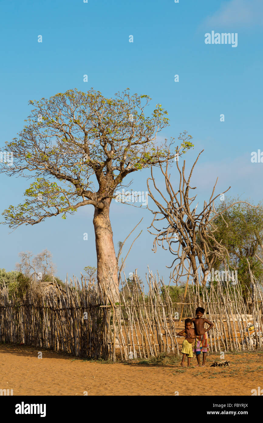 Mangily High Resolution Stock Photography and Images - Alamy