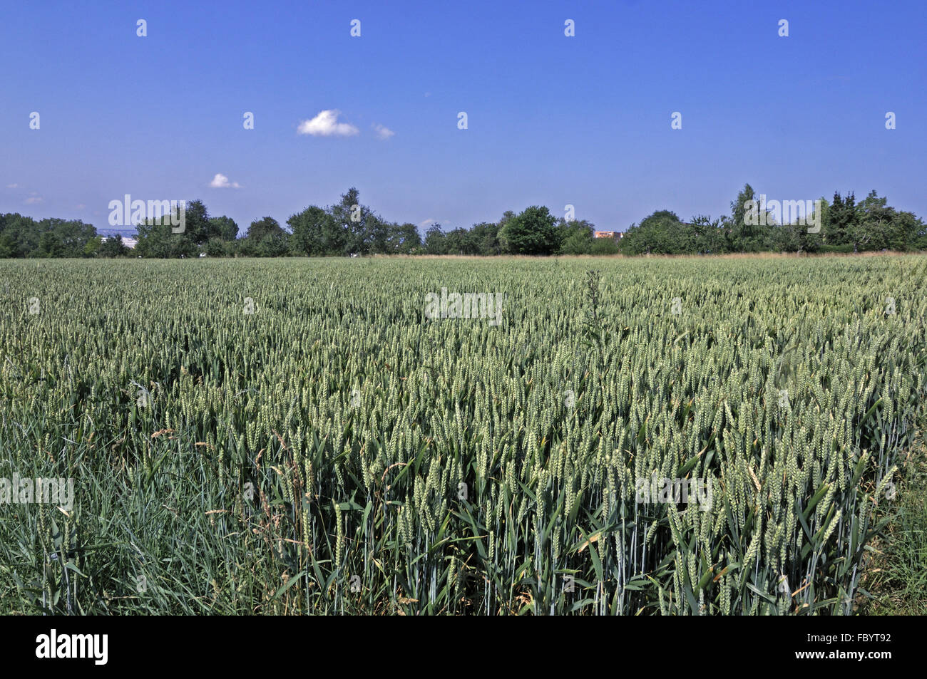 Grain growing region hi-res stock photography and images - Alamy