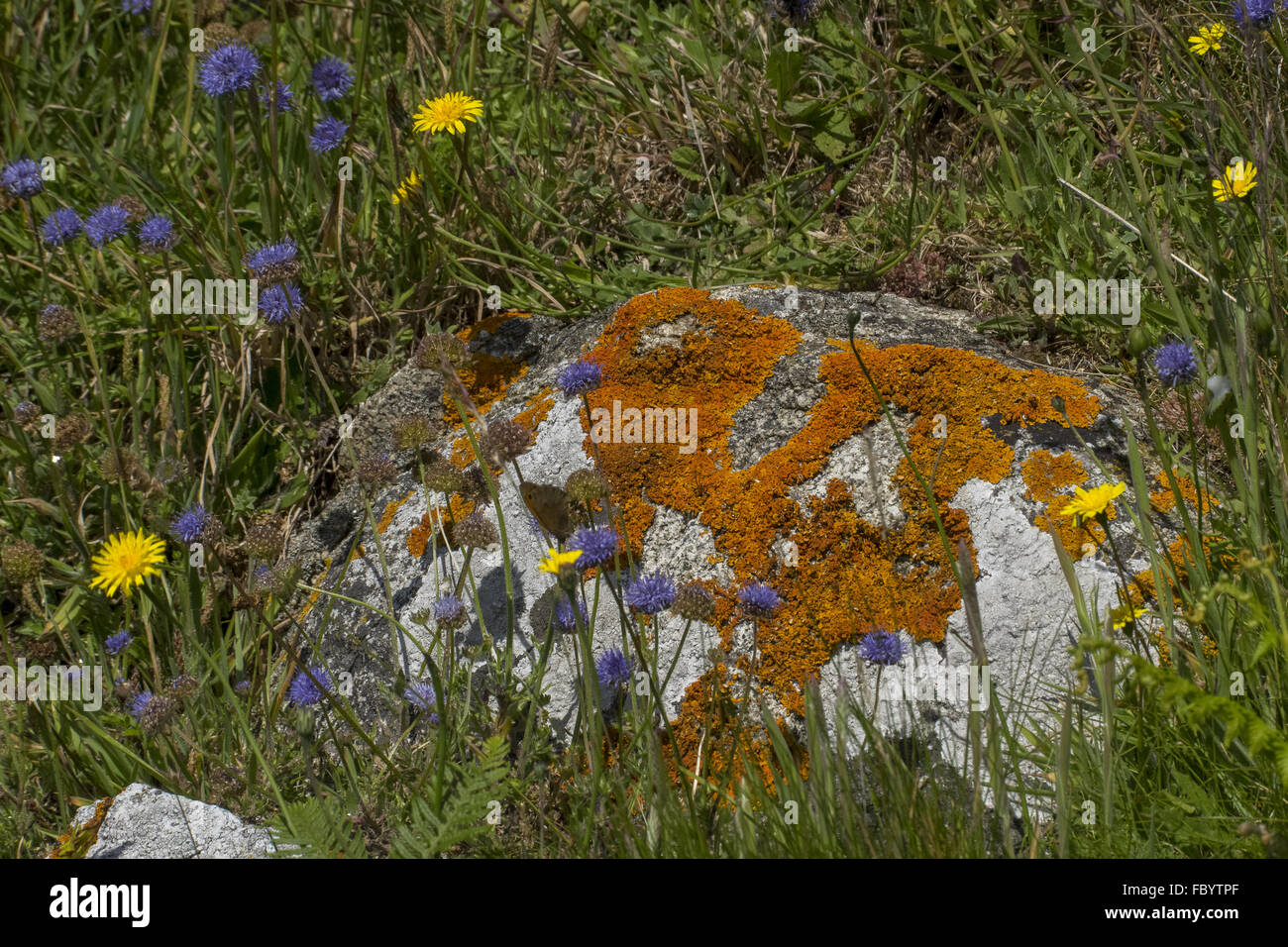 Rock colored hi-res stock photography and images - Alamy