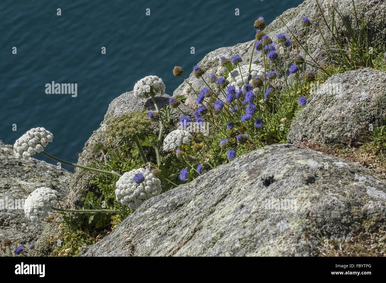 Get anywhere hi-res stock photography and images - Alamy