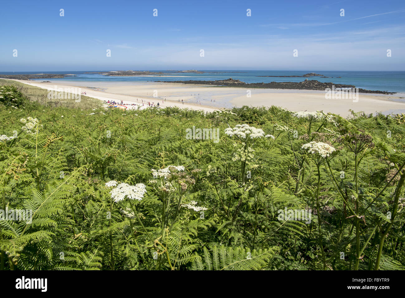 Herm shell beach hi-res stock photography and images - Alamy