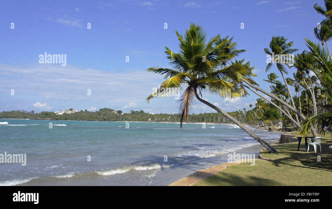 natural caribbean beach Stock Photo - Alamy