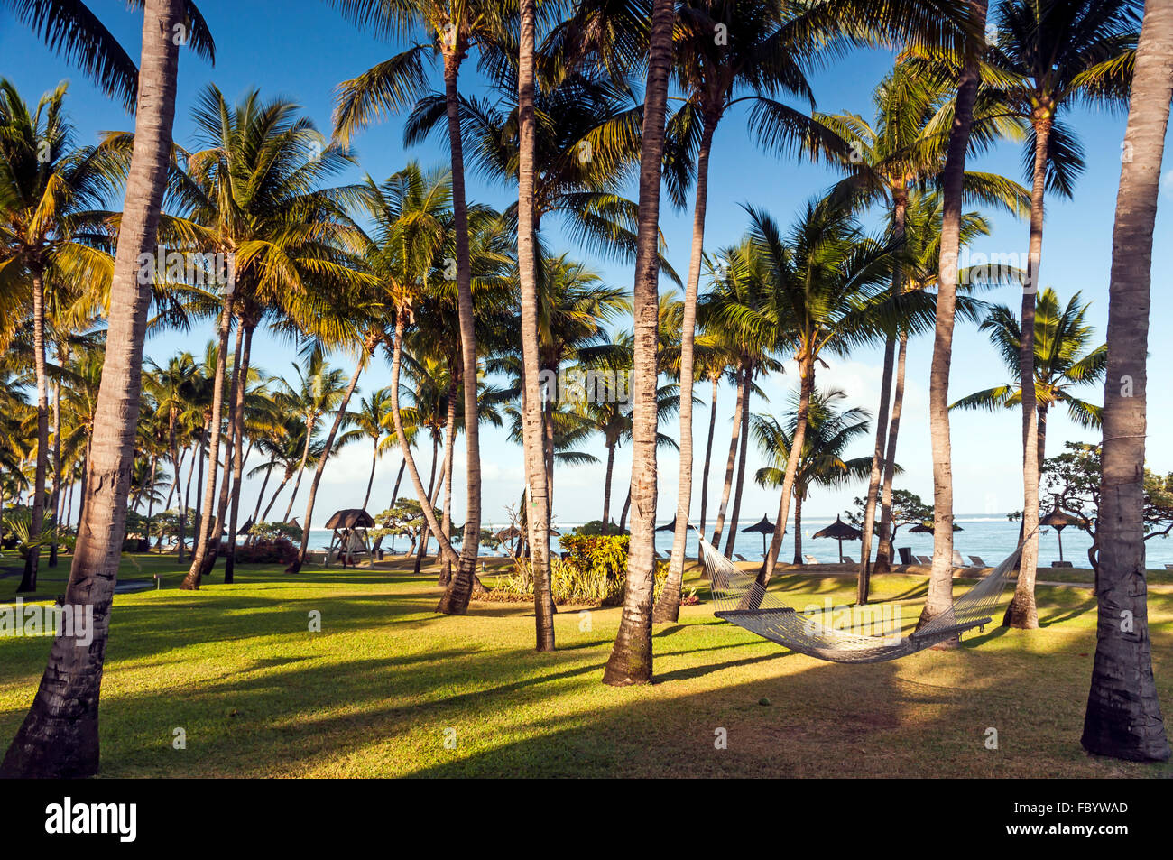 Neach hi-res stock photography and images - Alamy