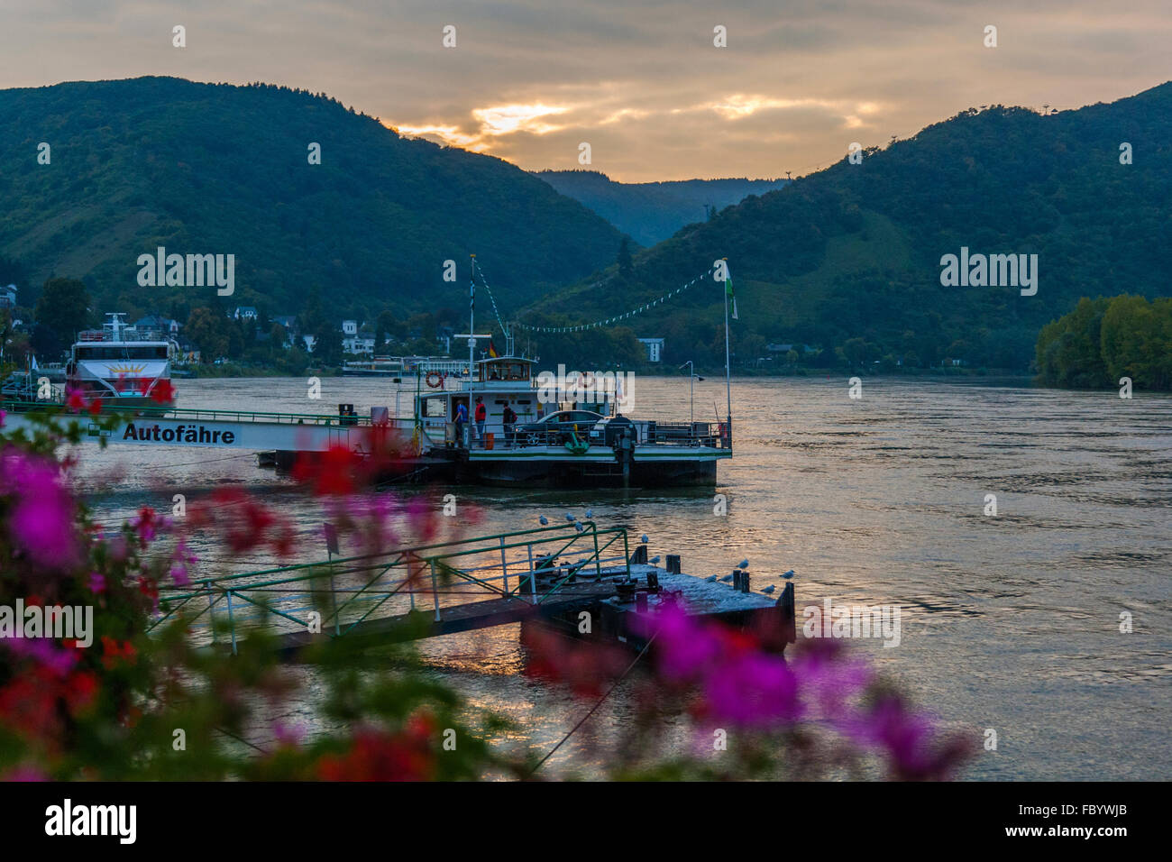 Small car ferry hi-res stock photography and images - Alamy