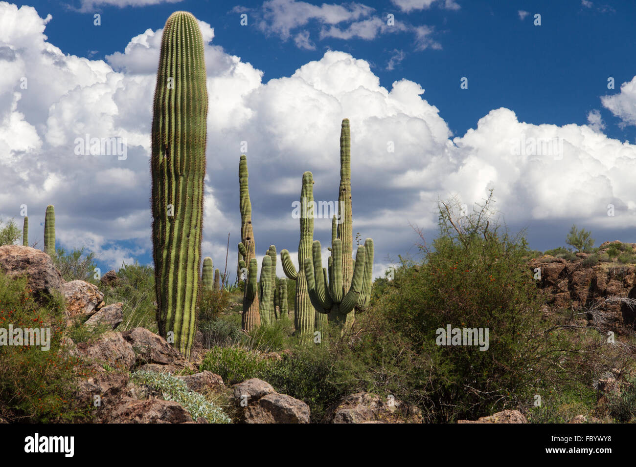 Apache point hi-res stock photography and images - Alamy