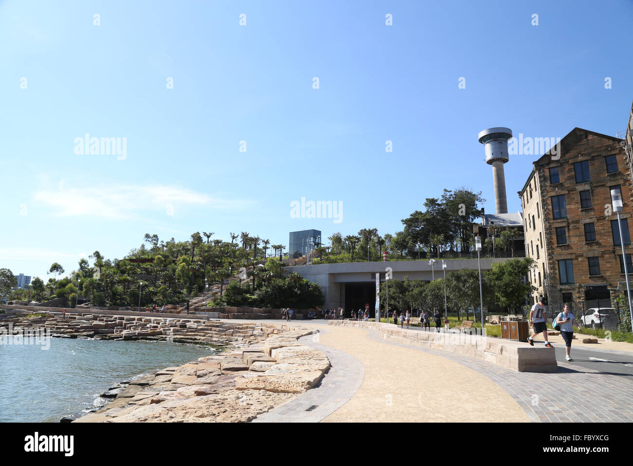 Barangaroo Reserve in Sydney, Australia Stock Photo - Alamy