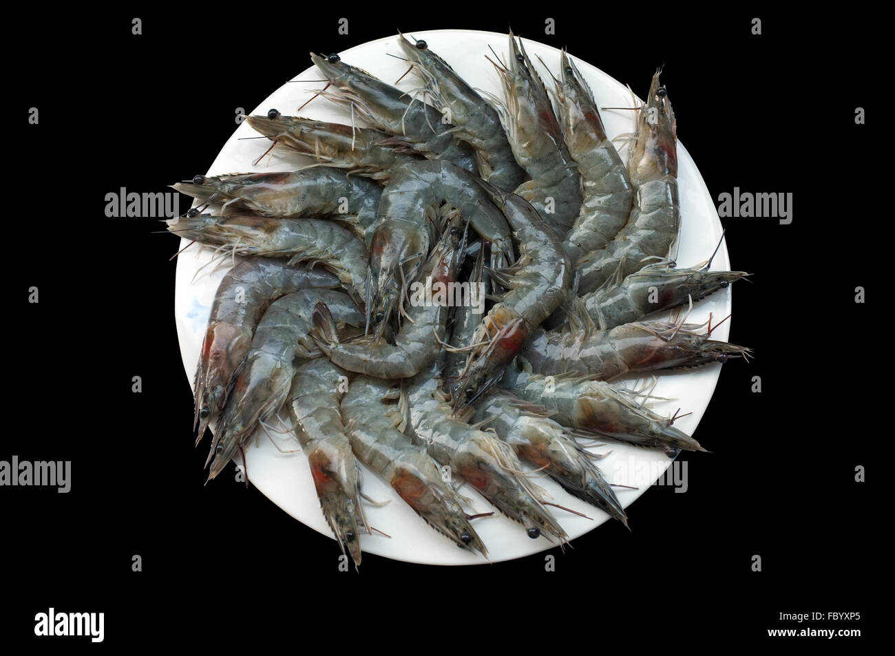 Single prawn shell on hi-res stock photography and images - Alamy