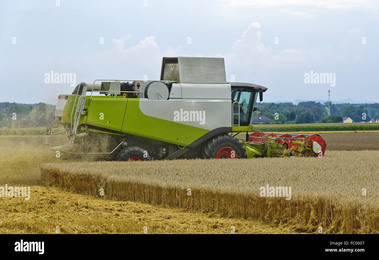 harvester at work Stock Photo - Alamy