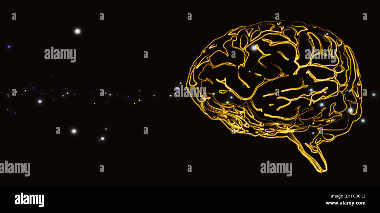 Human brain doodle hi-res stock photography and images - Alamy