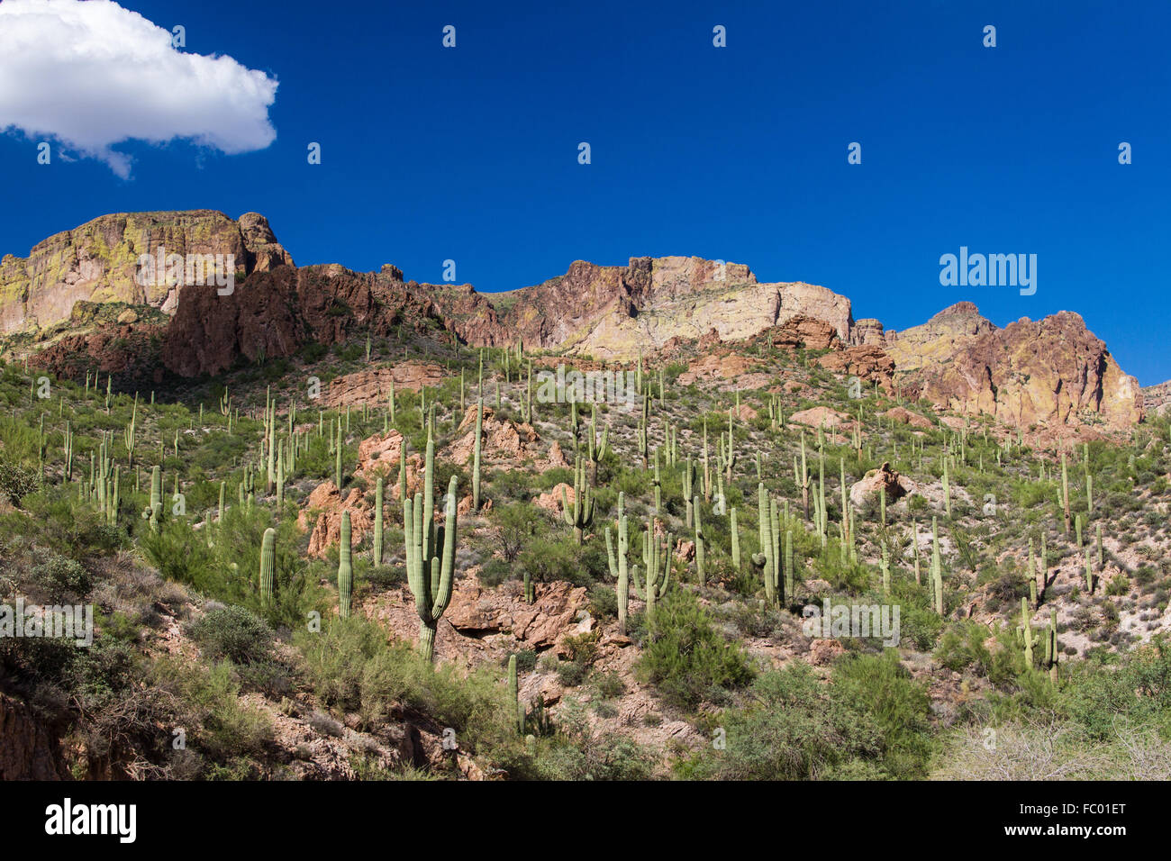 Apache trail 3 hi-res stock photography and images - Alamy