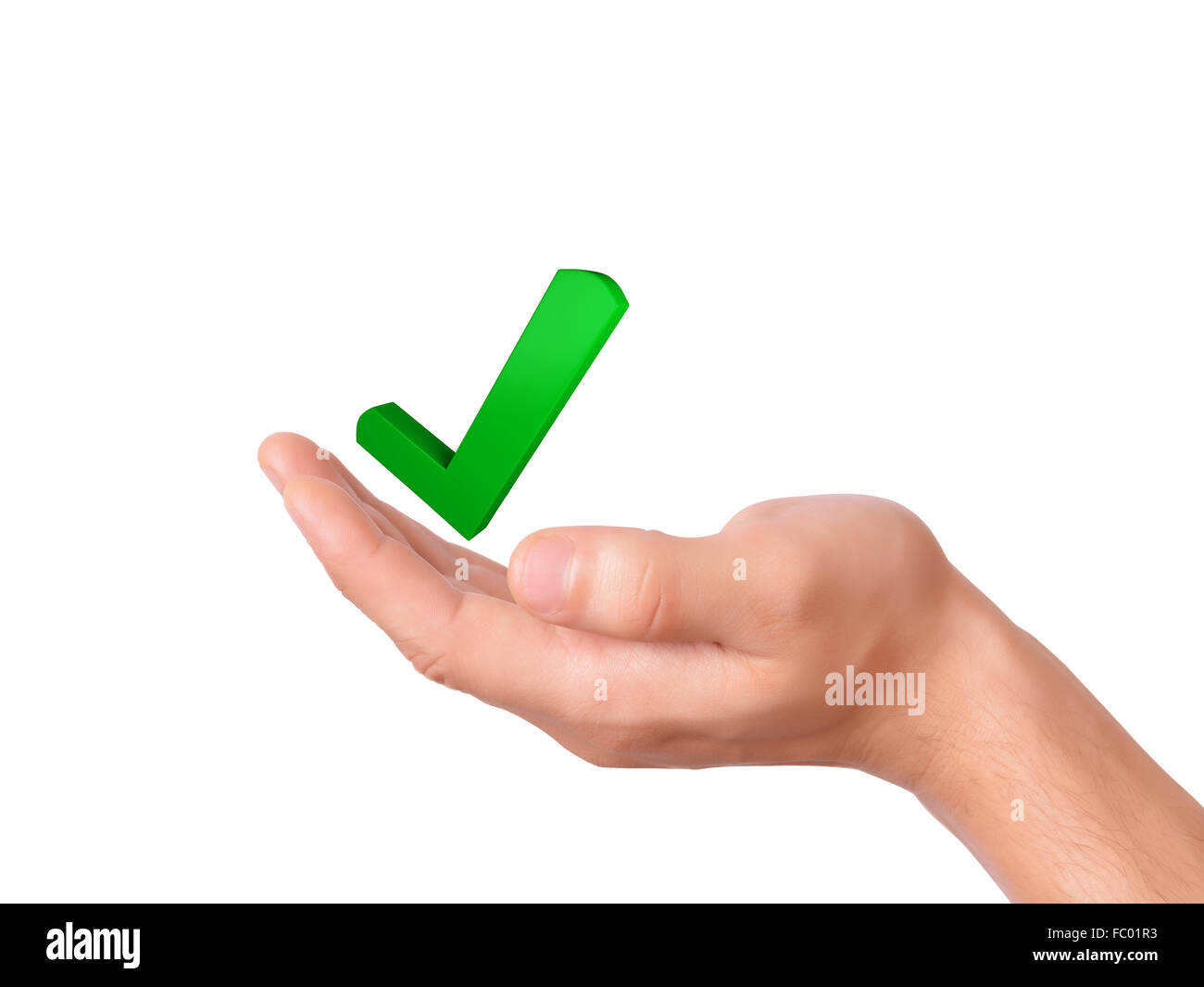 hand holding check mark icon. success concept Stock Photo - Alamy