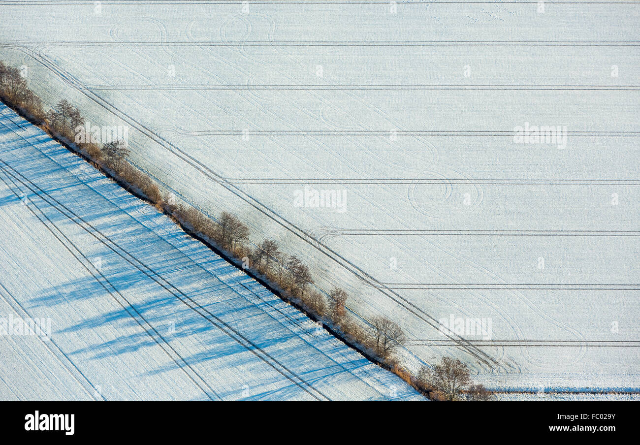 Aerial view, fields with snow, creek with trees and long shadows in ...