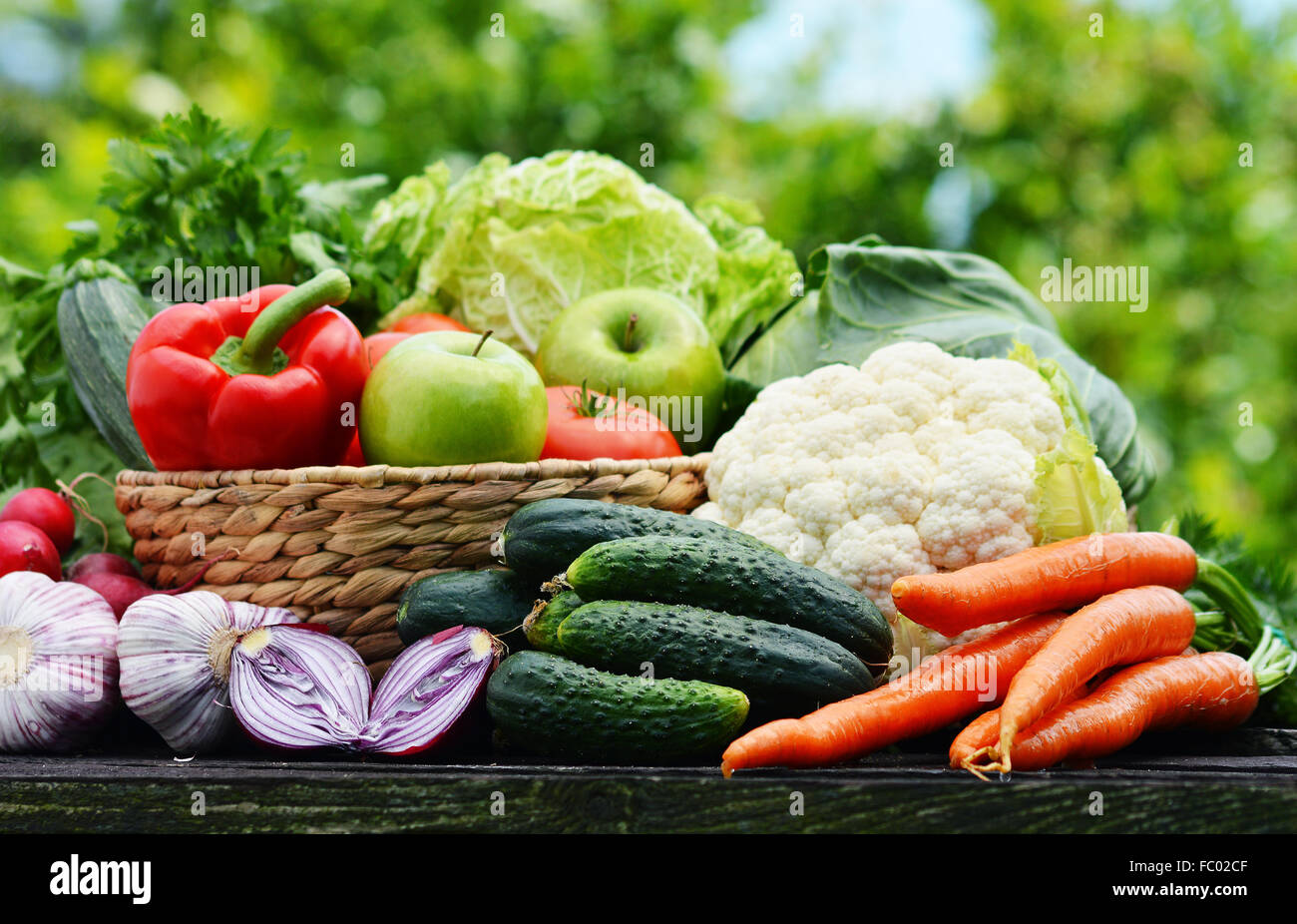 Variety of fresh organic vegetables in the garden Stock Photo - Alamy