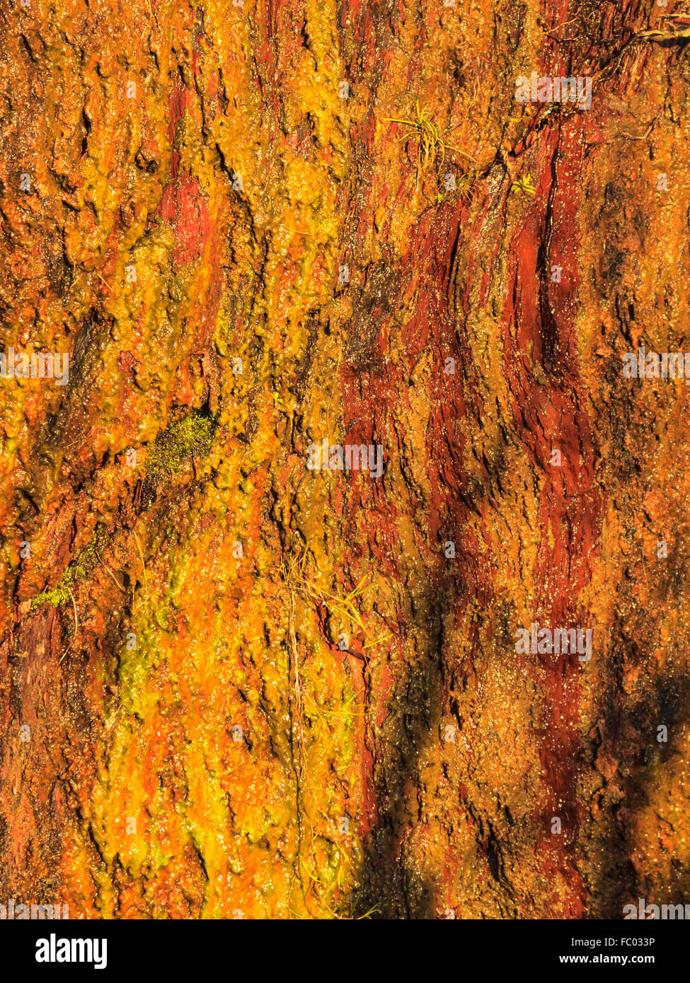 Orange stone wall texture hi-res stock photography and images - Alamy