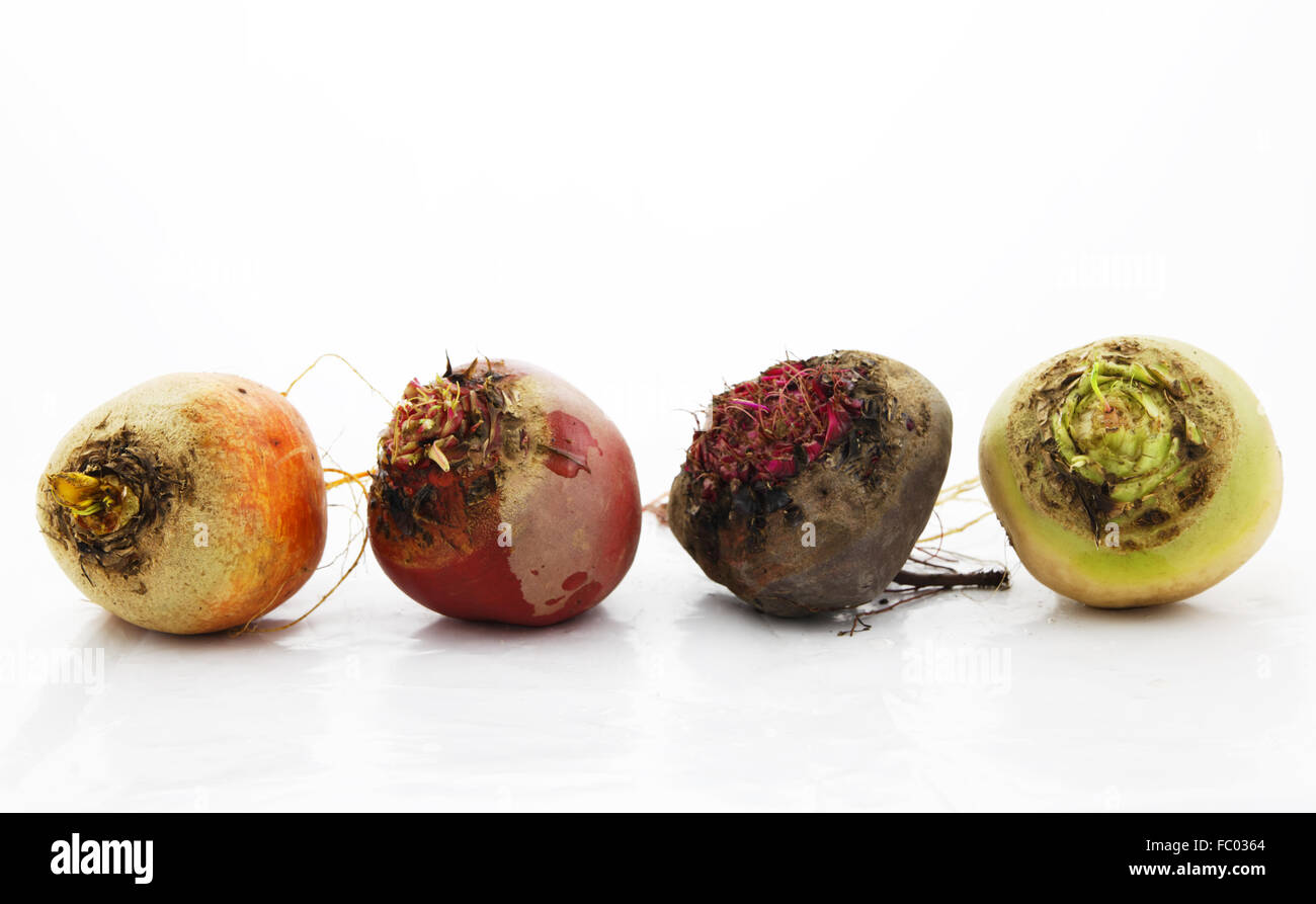 Beet root rot hi-res stock photography and images - Alamy