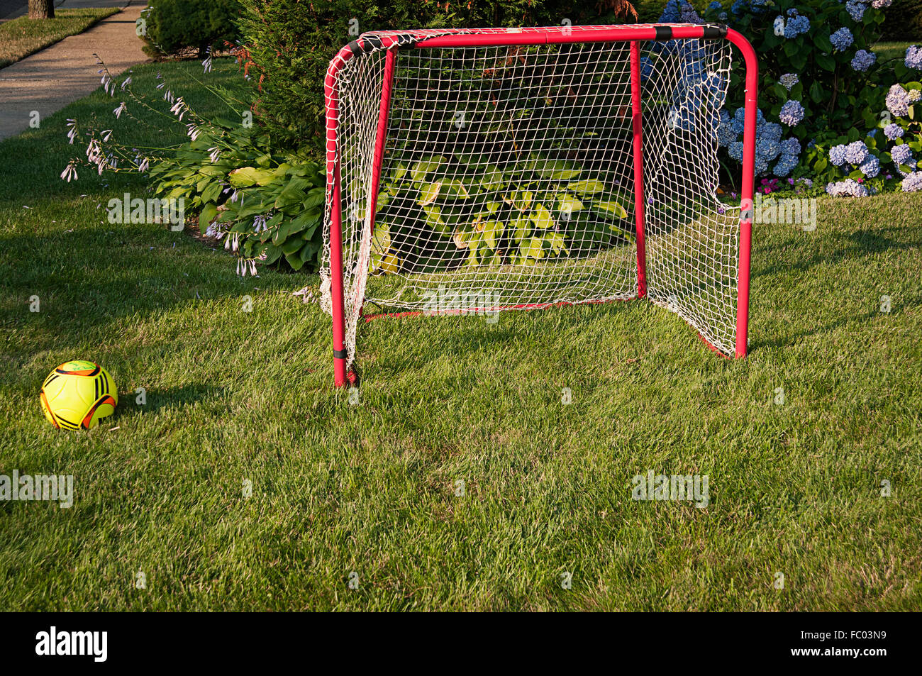 Soccer Goal Net Front