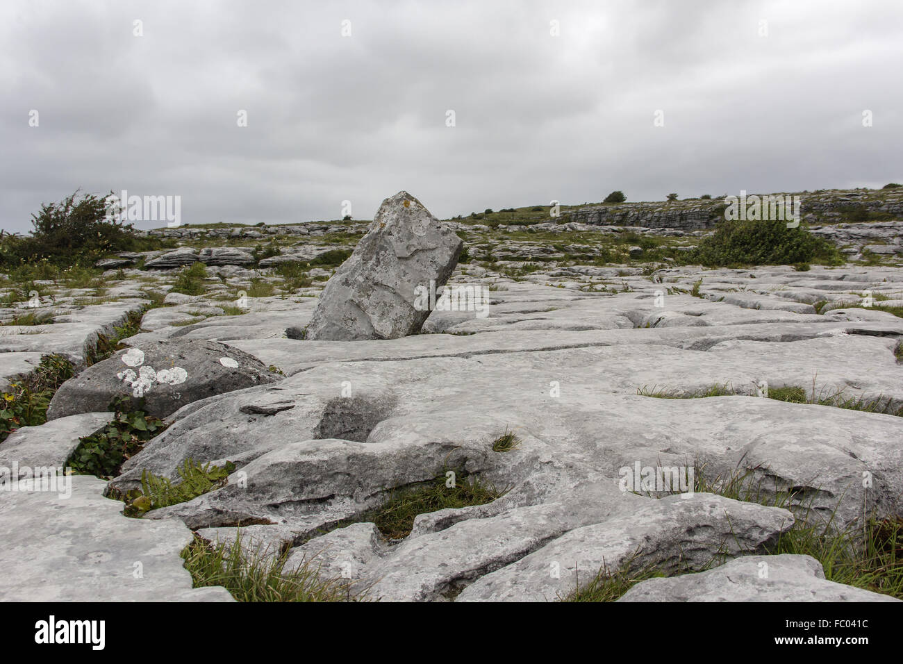 Burren park hi-res stock photography and images - Alamy