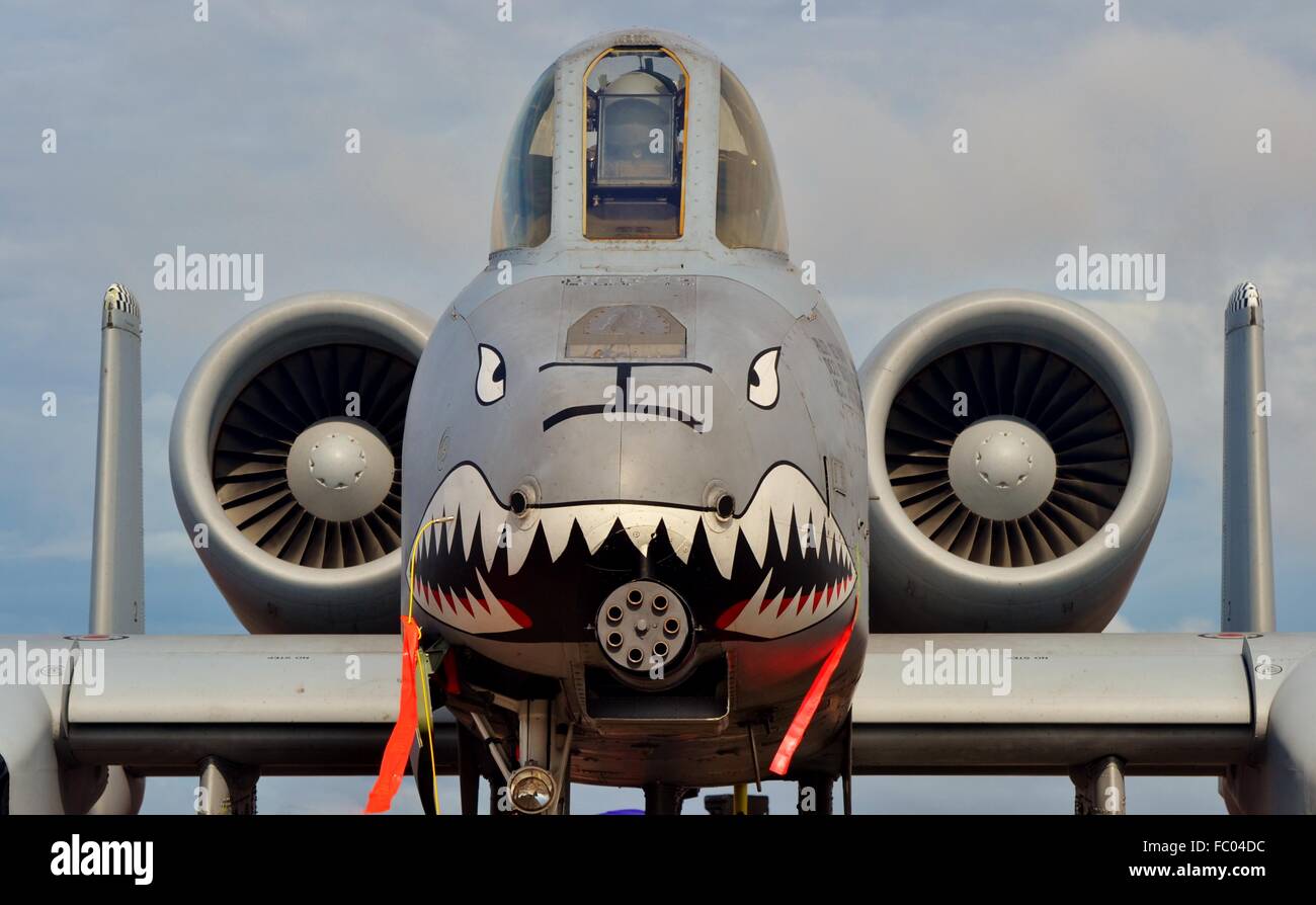 Air Force A-10 Warthog Attack Jet Stock Photo - Alamy