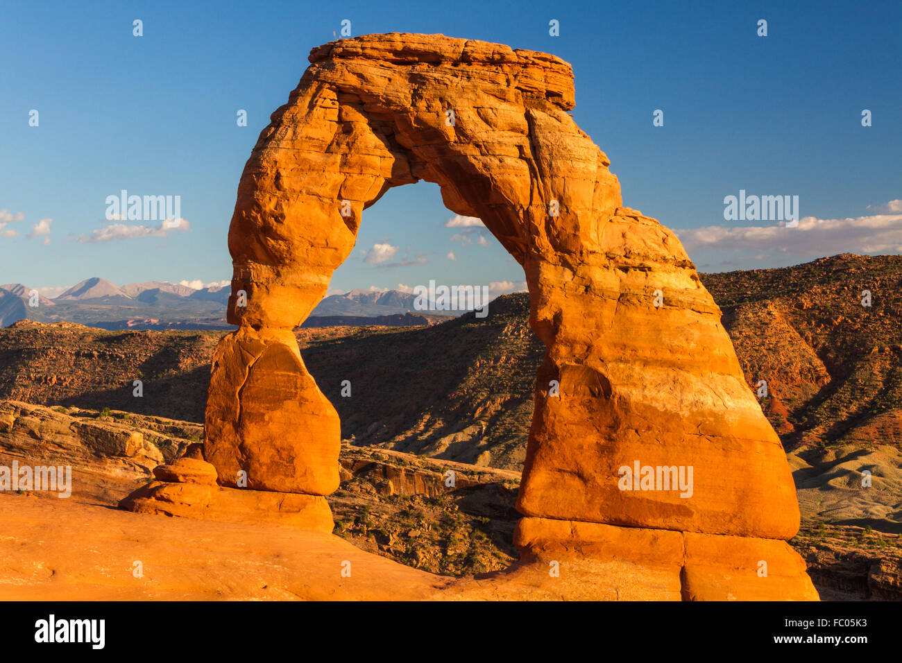 Delicate point hi-res stock photography and images - Alamy